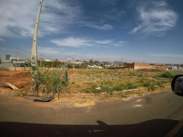 Terreno / Lote para Venda em Bady Bassitt/SP Jardim Menezes