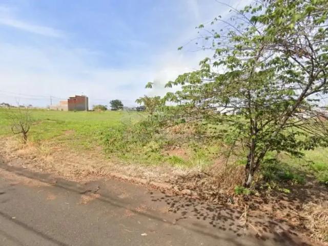 Terreno / Lote para Venda em Bady Bassitt/SP Residencial Menezes 5