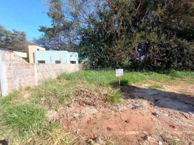 Terreno / Lote para Venda em Bady Bassitt/SP Residencial Menezes 3