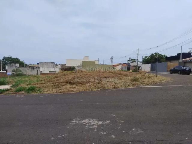 Terreno / Lote para Venda em Bady Bassitt/SP Jardim Menezes