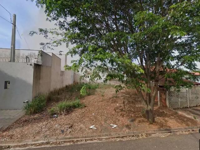 Terreno / Lote para Venda em Bady Bassitt/SP Jardim Menezes