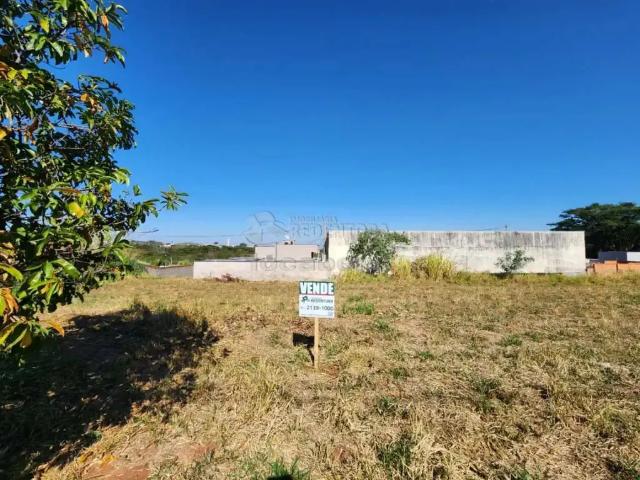Terreno / Lote para Venda em Bady Bassitt/SP Jardim Menezes