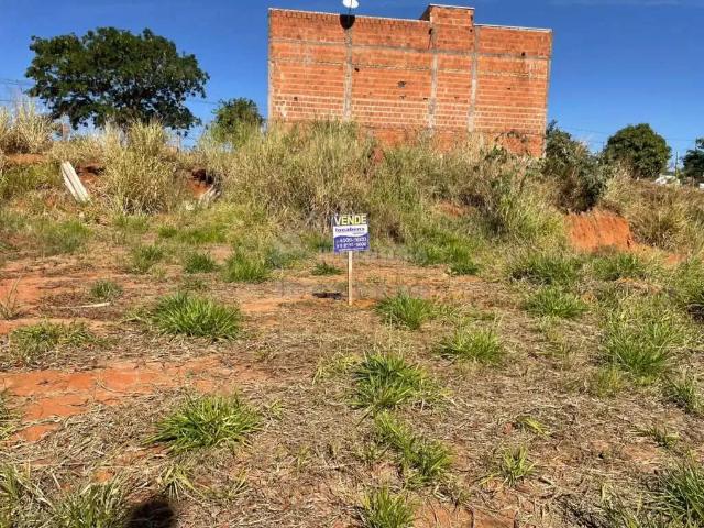 Terreno / Lote para Venda em Bady Bassitt/SP Jardim Menezes