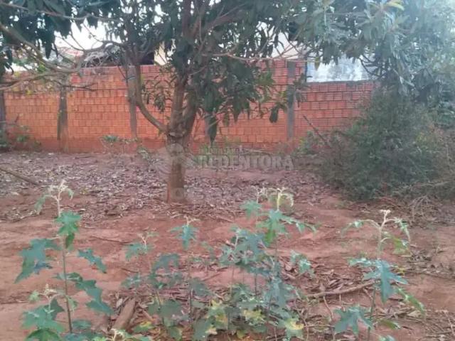 Terreno / Lote para Venda em Bady Bassitt/SP Jardim Panorama