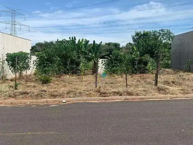 Terreno / Lote para Venda em Bady Bassitt/SP Jardim Tangará