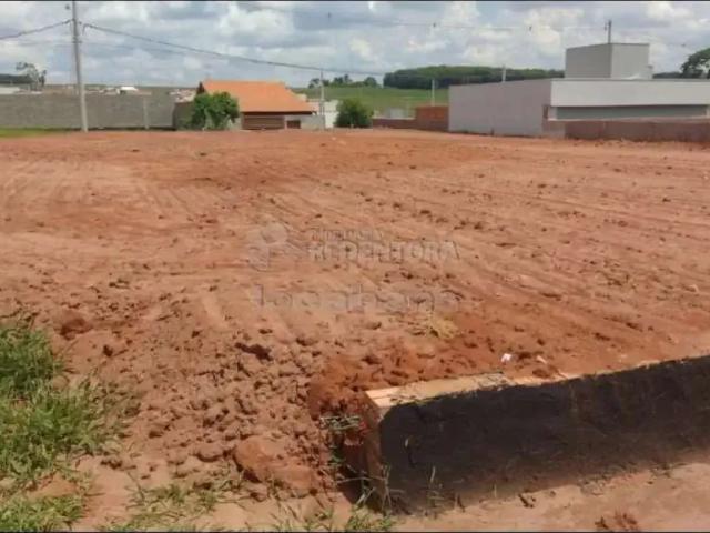 Terreno / Lote para Venda em Bady Bassitt/SP Jardim Tangará