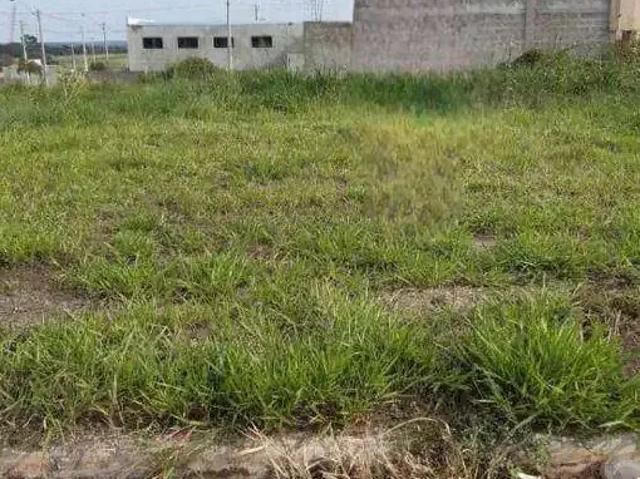 Terreno / Lote para Venda em Bady Bassitt/SP Jardim Tangará