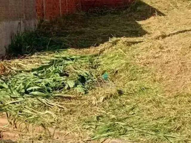 Terreno / Lote para Venda em Bady Bassitt/SP Lago Sul