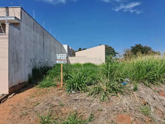 Terreno / Lote para Venda em Bady Bassitt/SP Lago Sul