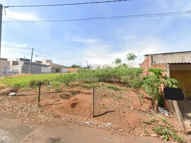 Terreno / Lote para Venda em Bady Bassitt/SP Residencial Borboleta 3