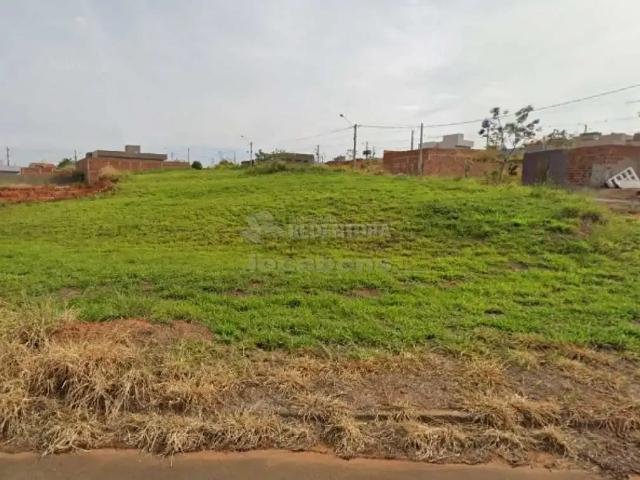 Terreno / Lote para Venda em Bady Bassitt/SP Residencial Menezes 3