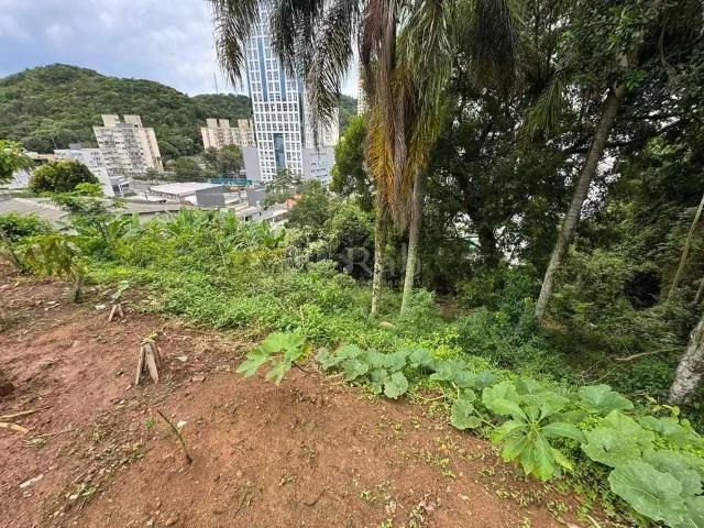 Terreno / Lote para Venda em Balneário Camboriú/SC Ariribá