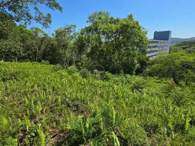 Terreno / Lote para Venda em Balneário Camboriú/SC Estados