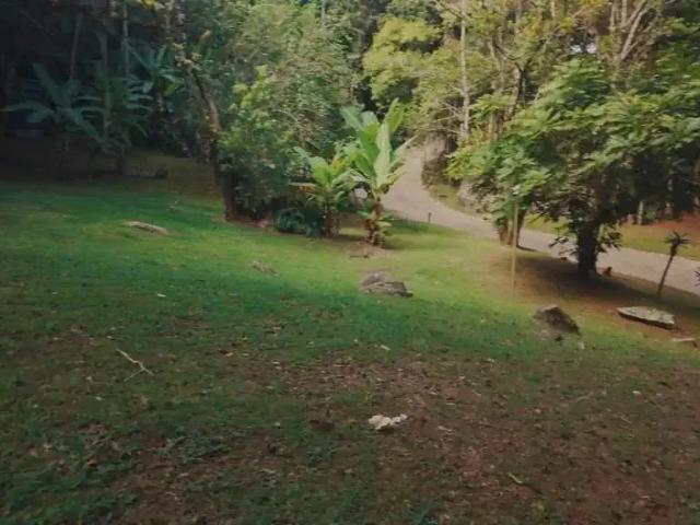 Terreno / Lote para Venda em Balneário Camboriú/SC Praia do Estaleiro