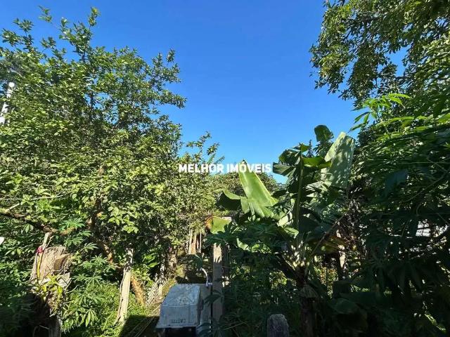 Terreno / Lote para Venda em Balneário Camboriú/SC Praia do Estaleirinho