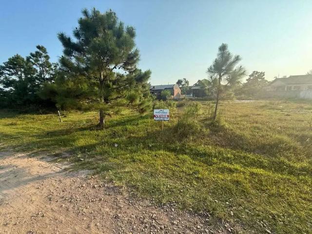 Terreno / Lote para Venda em Balneário Arroio do Silva/SC Golfinho