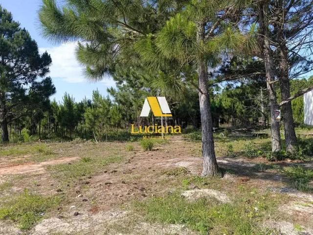 Terreno / Lote para Venda em Balneário Arroio do Silva/SC Jardim Atlântico