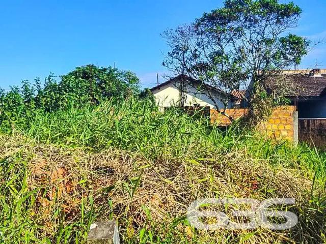 Terreno / Lote para Venda em Balneário Barra do Sul/SC Costeira