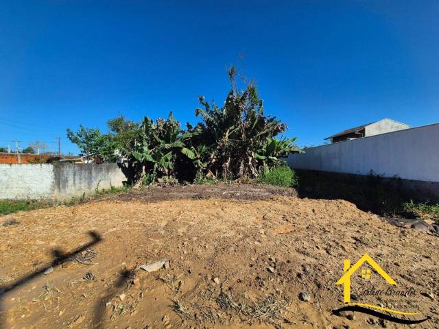 Terreno / Lote para Venda em Balneário Barra do Sul/SC Costeira