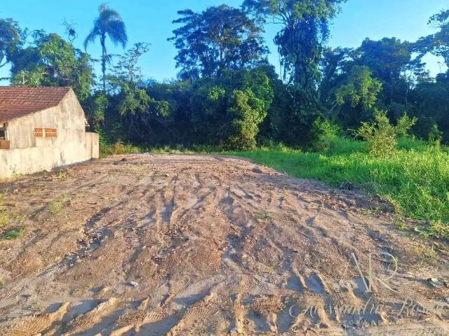 Terreno / Lote para Venda em Balneário Barra do Sul/SC Costeira