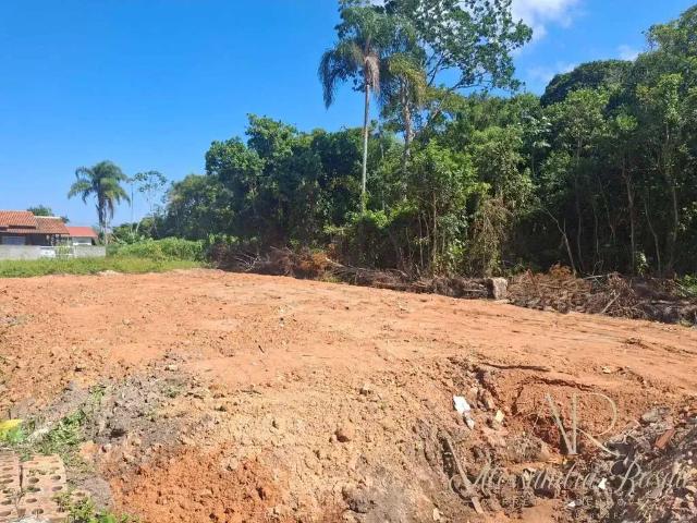 Terreno / Lote para Venda em Balneário Barra do Sul/SC Costeira