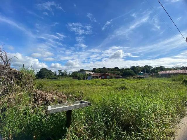 Terreno / Lote para Venda em Balneário Barra do Sul/SC Costeira