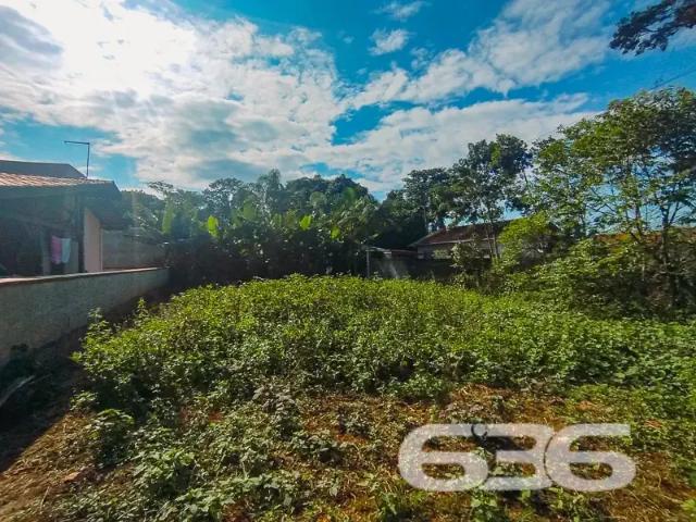 Terreno / Lote para Venda em Balneário Barra do Sul/SC Costeira