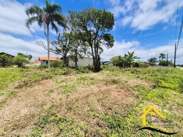 Terreno / Lote para Venda em Balneário Barra do Sul/SC Centro