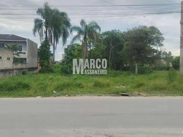 Terreno / Lote para Venda em Balneário Barra do Sul/SC Centro