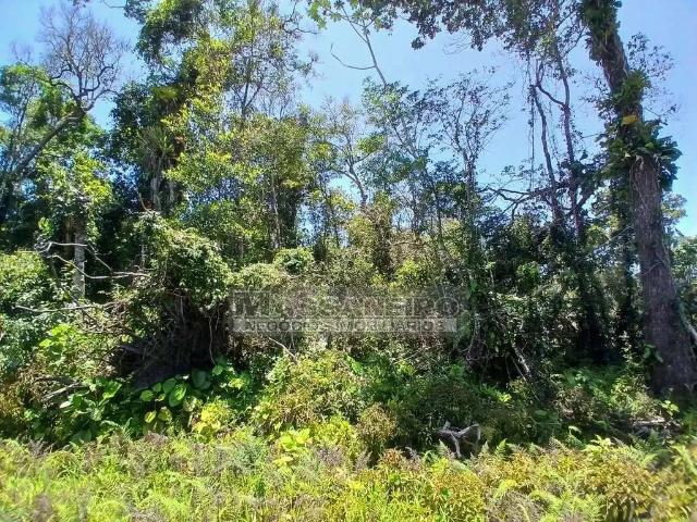 Terreno / Lote para Venda em Balneário Barra do Sul/SC Salinas
