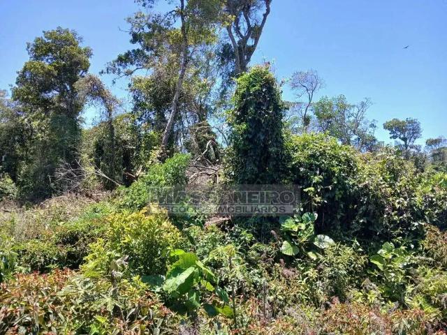 Terreno / Lote para Venda em Balneário Barra do Sul/SC Salinas