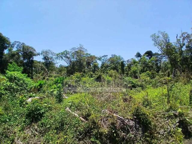 Terreno / Lote para Venda em Balneário Barra do Sul/SC Salinas