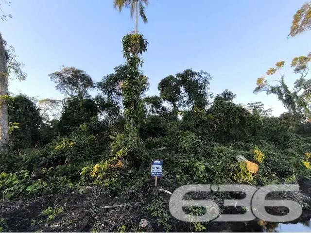 Terreno / Lote para Venda em Balneário Barra do Sul/SC Salinas