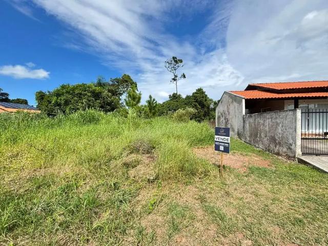 Terreno / Lote para Venda em Balneário Barra do Sul/SC Salinas