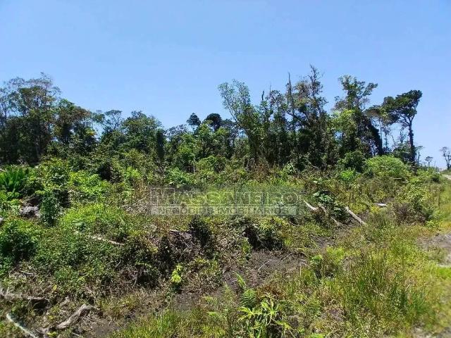 Terreno / Lote para Venda em Balneário Barra do Sul/SC Salinas