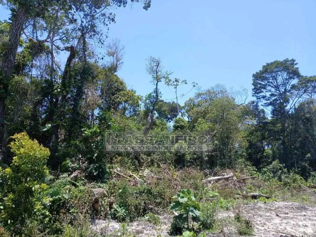 Terreno / Lote para Venda em Balneário Barra do Sul/SC Salinas