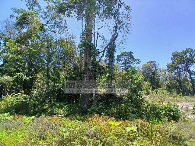 Terreno / Lote para Venda em Balneário Barra do Sul/SC Salinas