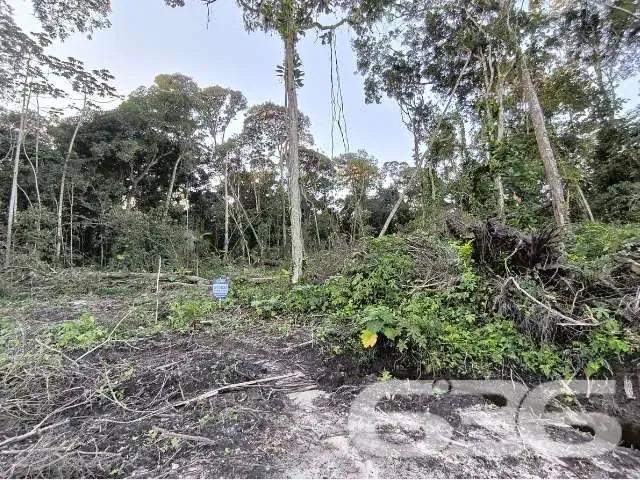 Terreno / Lote para Venda em Balneário Barra do Sul/SC Salinas