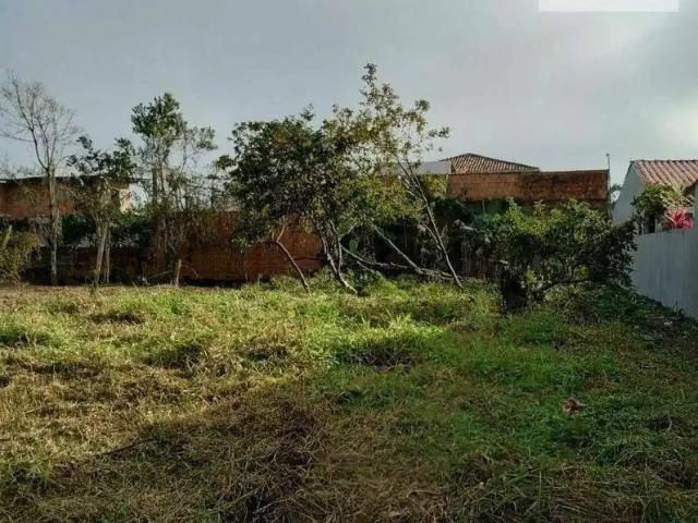 Terreno / Lote para Venda em Balneário Barra do Sul/SC Salinas