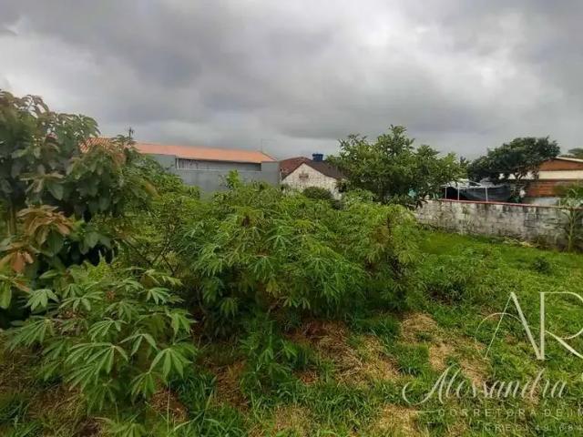 Terreno / Lote para Venda em Balneário Barra do Sul/SC Salinas