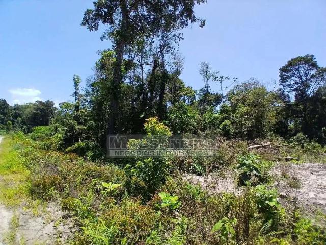 Terreno / Lote para Venda em Balneário Barra do Sul/SC Salinas
