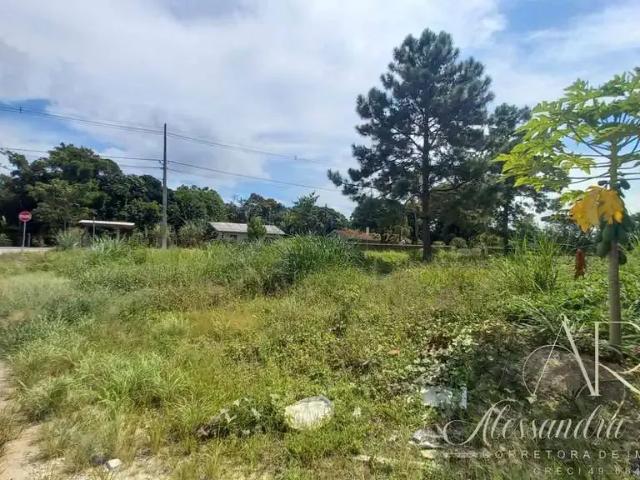 Terreno / Lote para Venda em Balneário Barra do Sul/SC Pinheiros