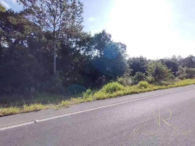Terreno / Lote para Venda em Balneário Barra do Sul/SC Pinheiros