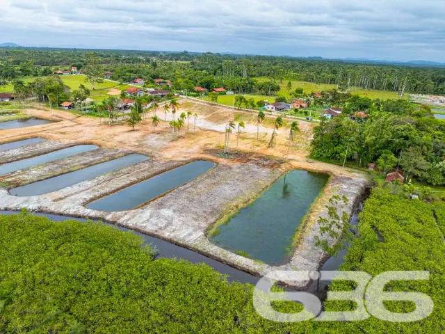 Terreno / Lote para Venda em Balneário Barra do Sul/SC Pinheiros