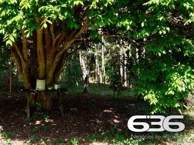 Terreno / Lote para Venda em Balneário Barra do Sul/SC Pinheiros