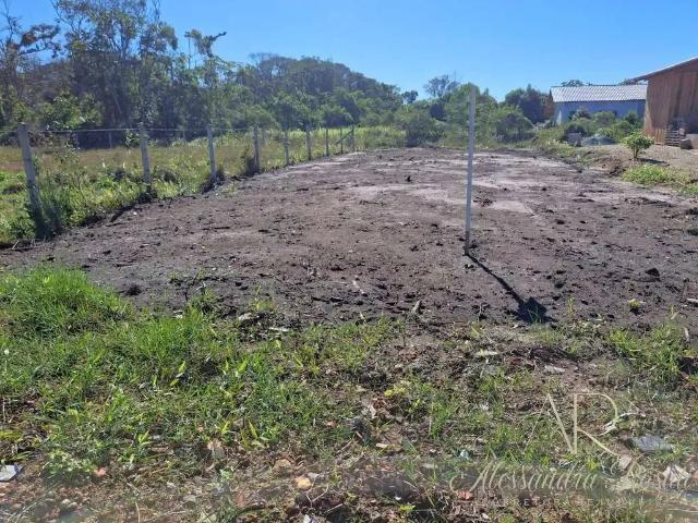 Terreno / Lote para Venda em Balneário Barra do Sul/SC Pinheiros