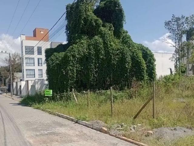 Terreno / Lote para Venda em Balneário Piçarras/SC Centro