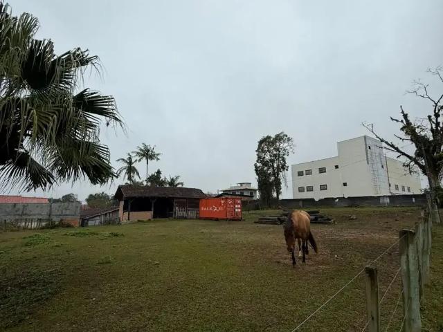 Terreno / Lote para Venda em Balneário Piçarras/SC Centro
