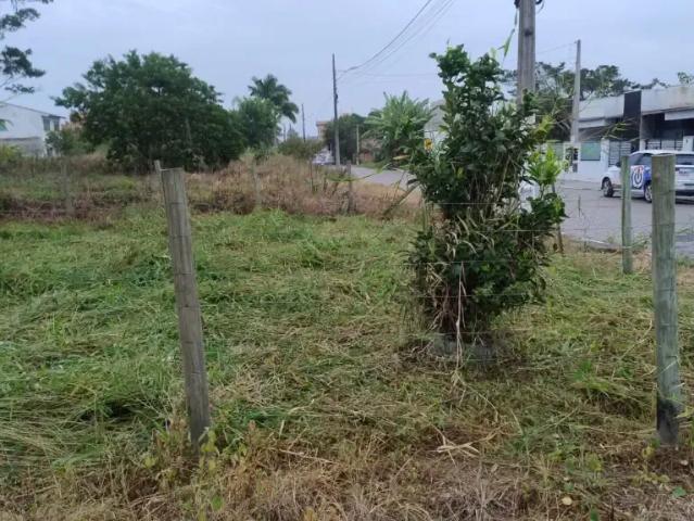 Terreno / Lote para Venda em Balneário Piçarras/SC Itacolomi