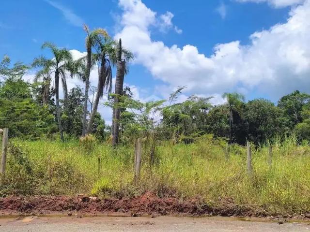Terreno / Lote para Venda em Balneário Piçarras/SC Itacolomi
